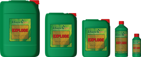 Dutch Pro - Explode – Gardening Solutions
