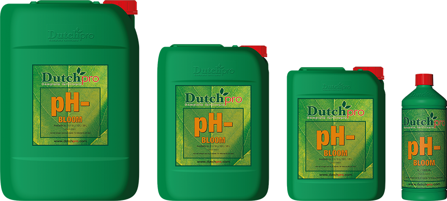 Dutch Pro - pH- Bloom – Gardening Solutions